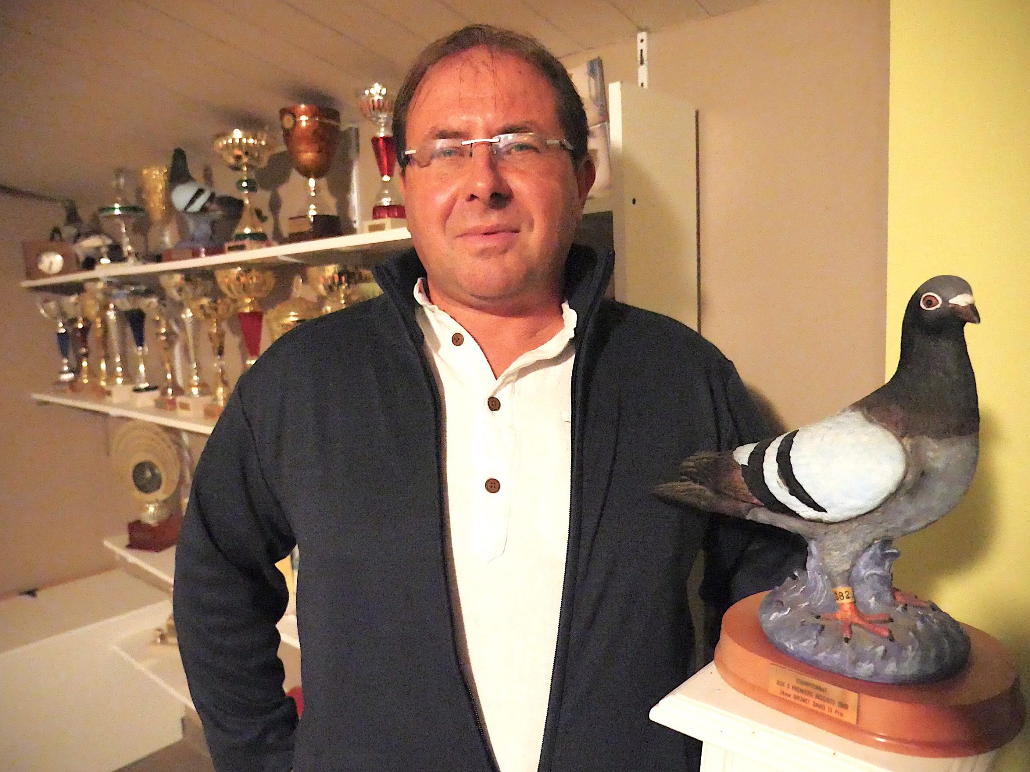 Tutoriels - Pigeon Master