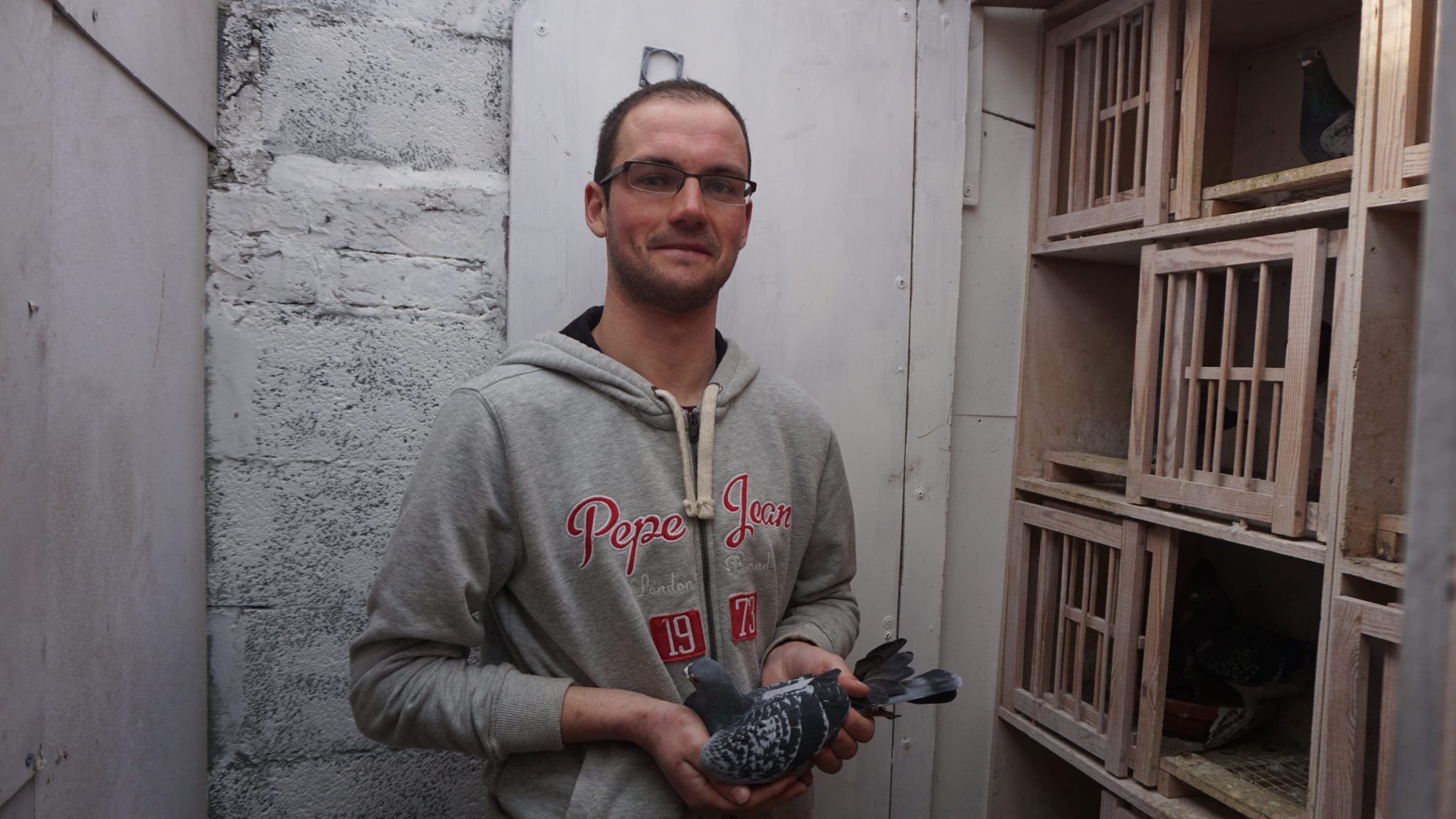 L'incroyable colonie de Maxime Renaud - Pigeon Master