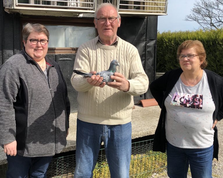 Accueil - Pigeon Master