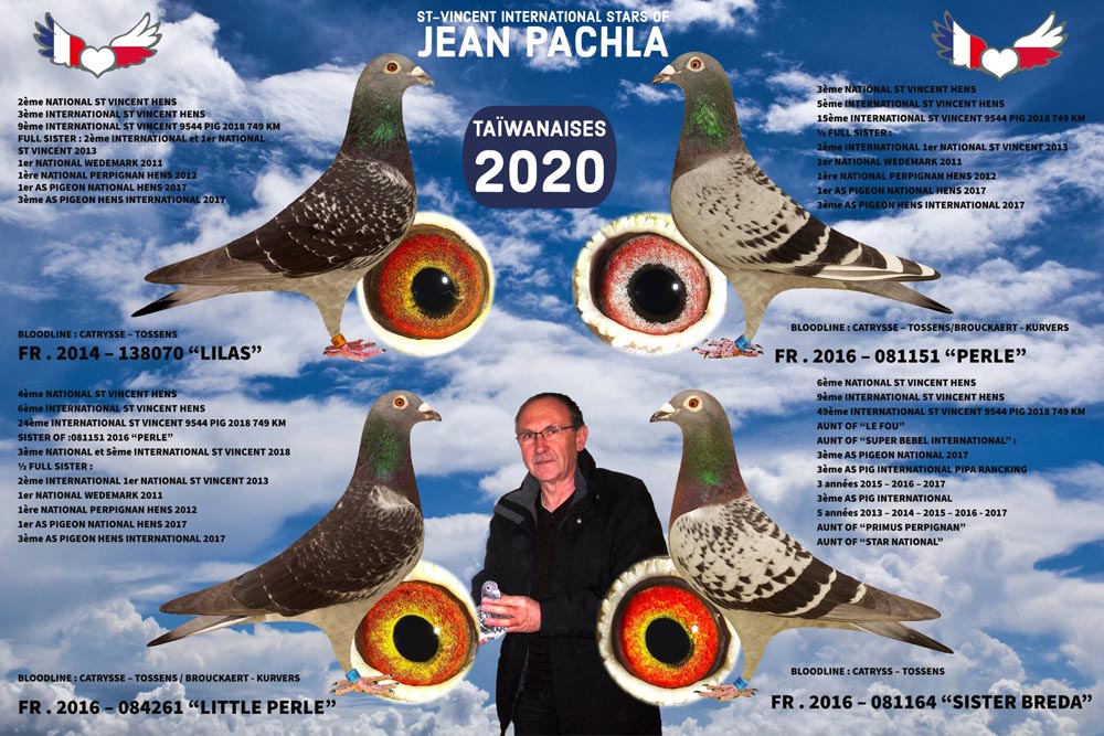 Quand la nature reprend le pouvoir : visite chez Jean Pachla, le grand ...
