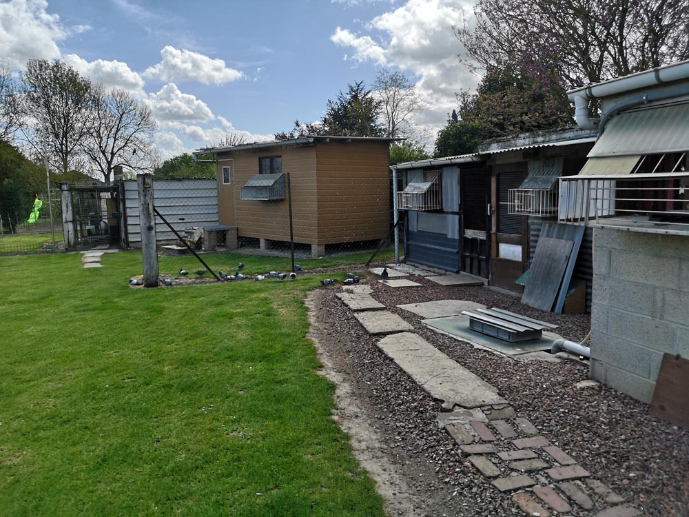 Quand la nature reprend le pouvoir : visite chez Jean Pachla, le grand ...