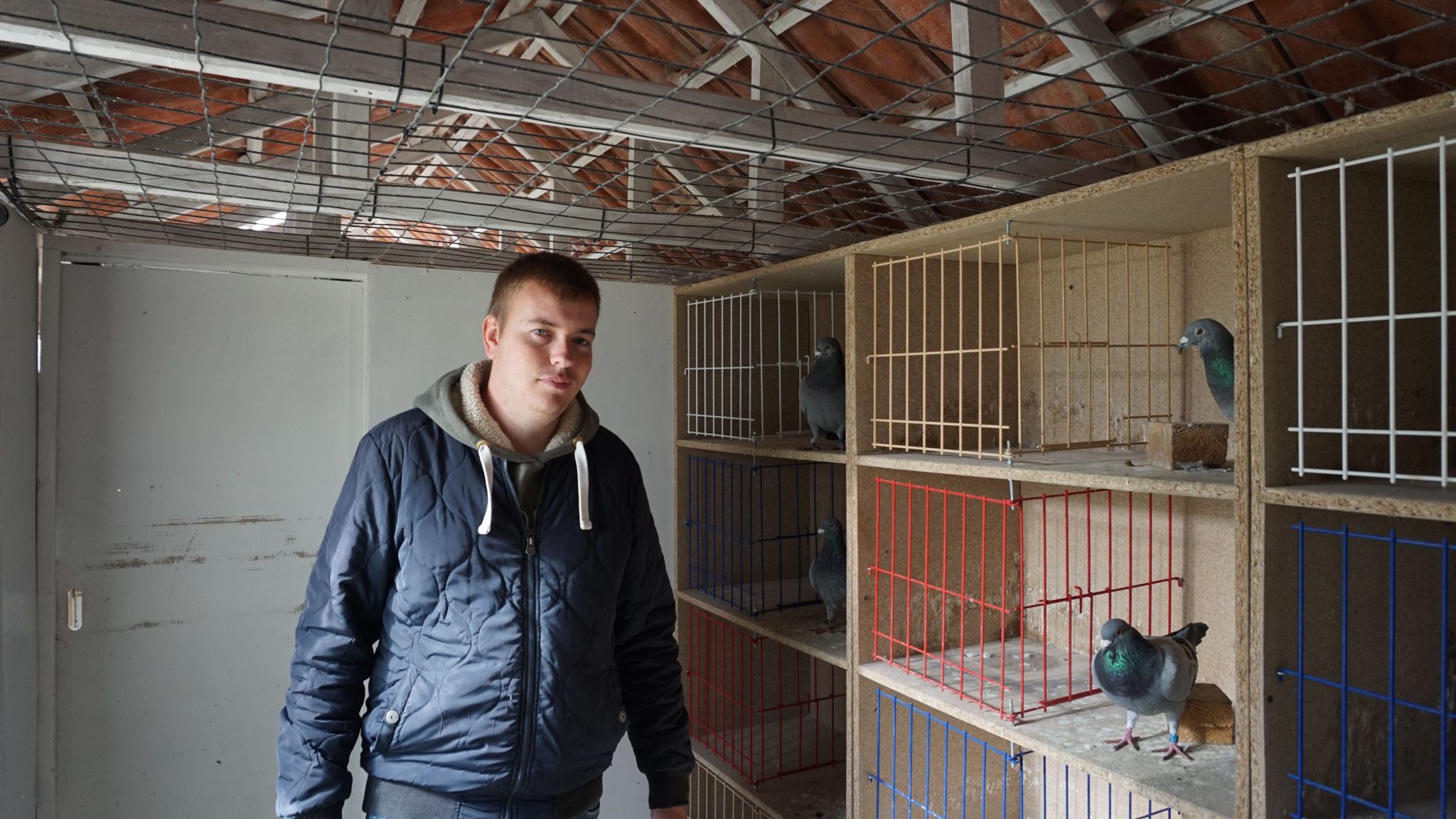 Accueil - Pigeon Master