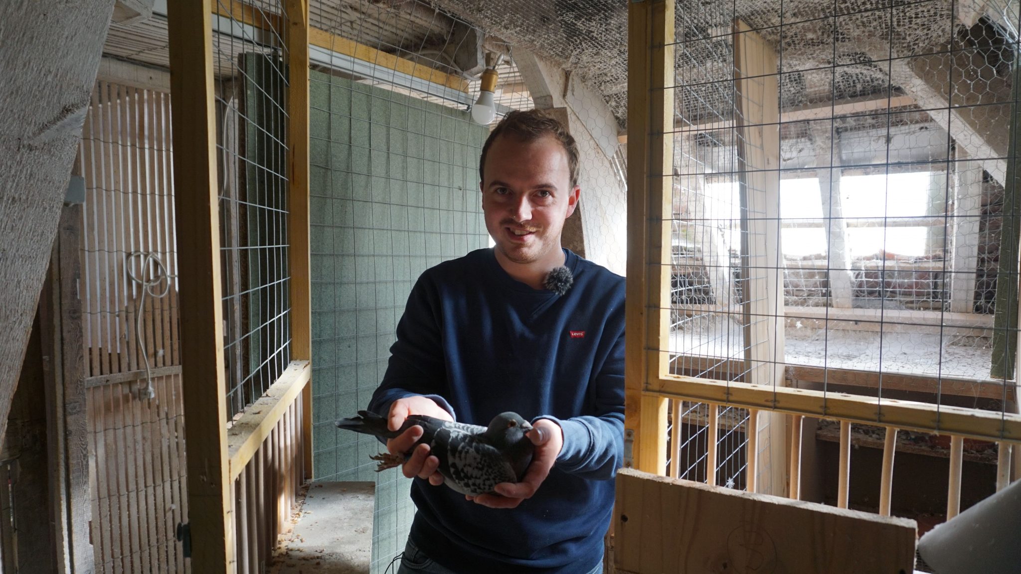 Accueil - Pigeon Master