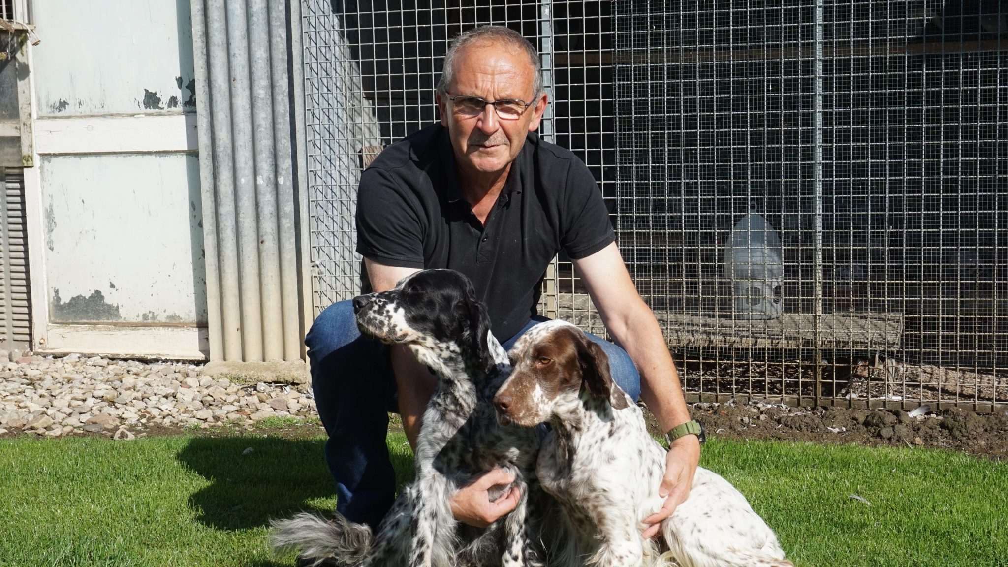 Accueil - Pigeon Master