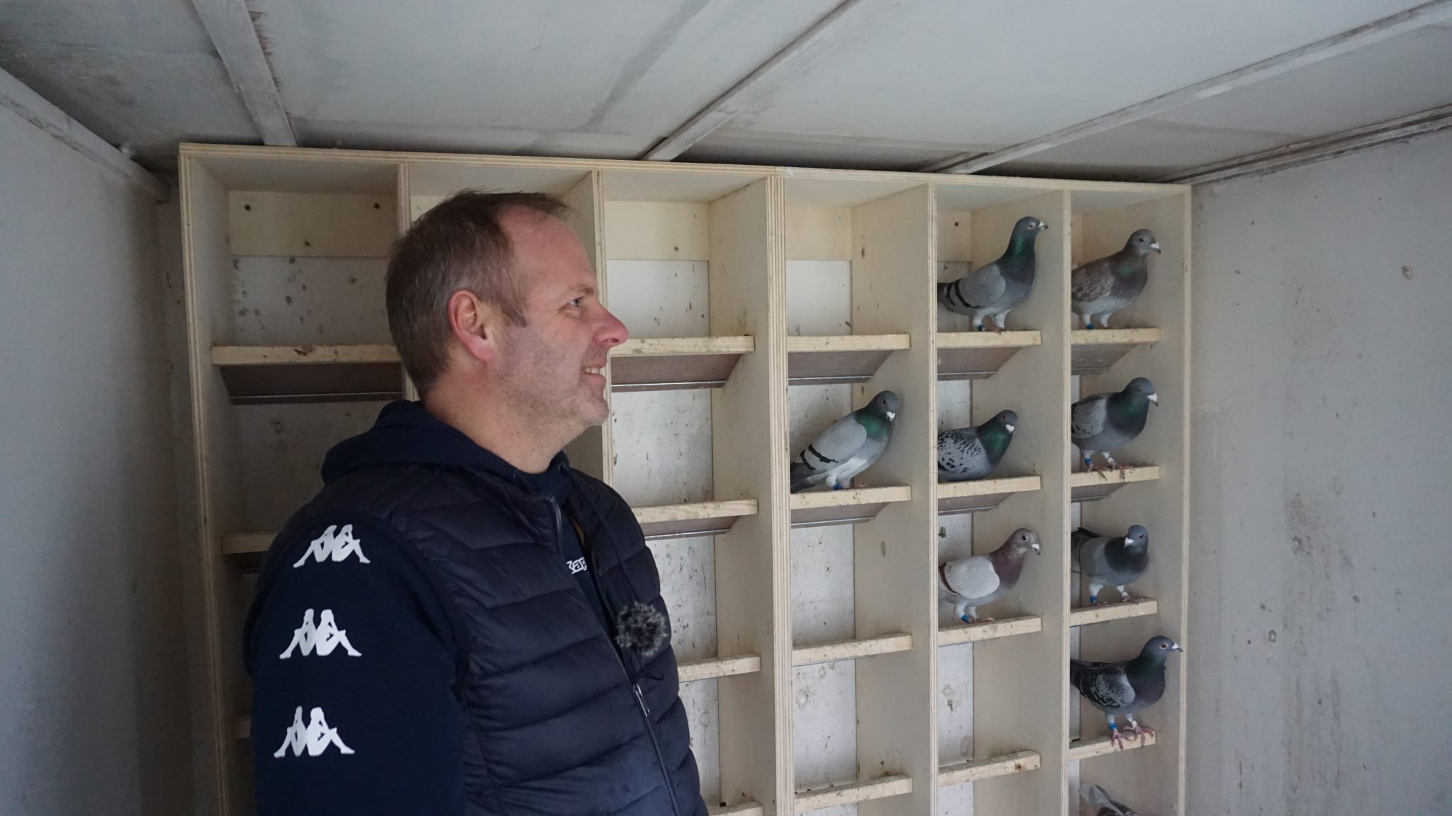 Accueil - Pigeon Master