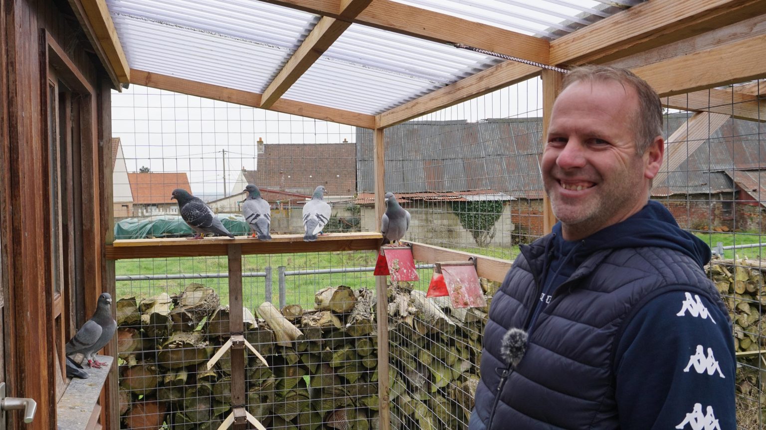 Accueil - Pigeon Master