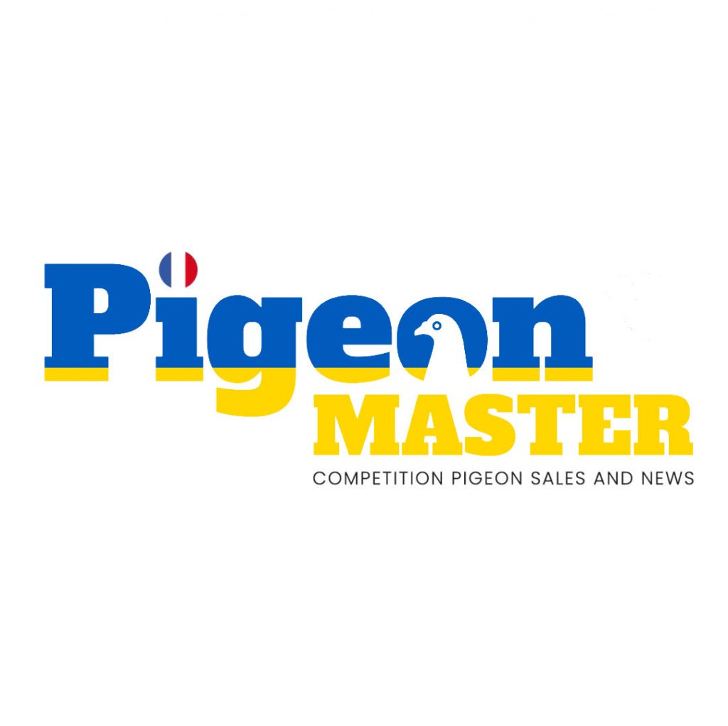 Reportages - Pigeon Master