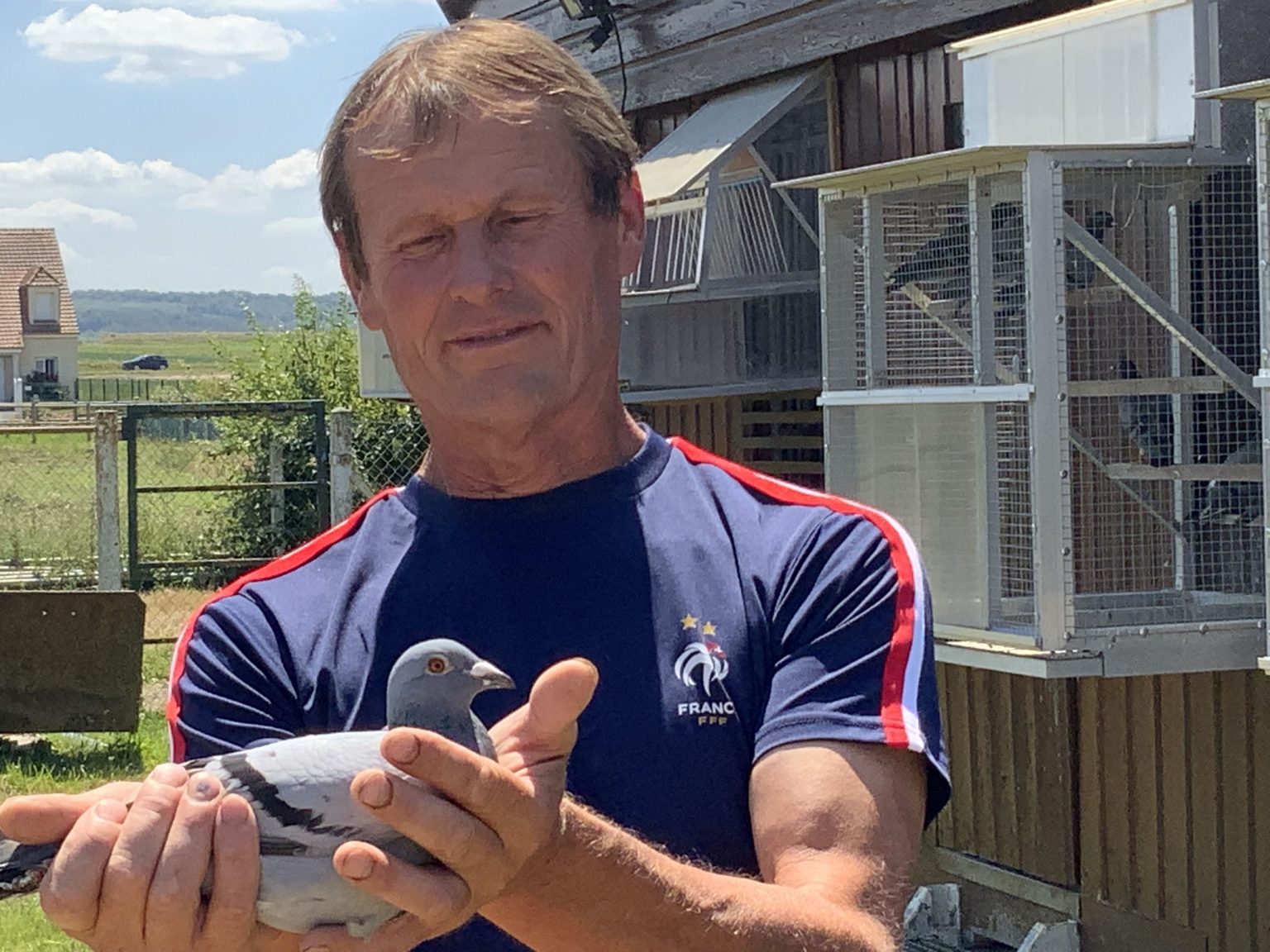 Accueil - Pigeon Master