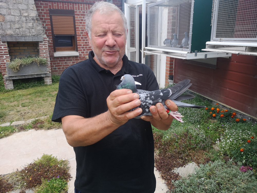 Accueil - Pigeon Master