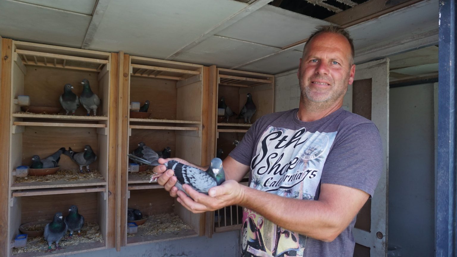 Accueil - Pigeon Master