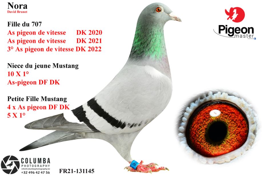 Heremans, Stikers-Donkers, Eijerkamp, Turbo, Mustang .... David Brunet ouvre le bal des enchères ...