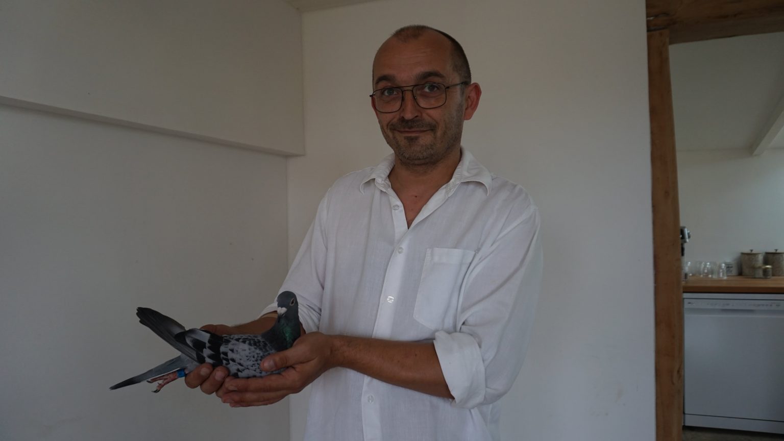 Accueil - Pigeon Master