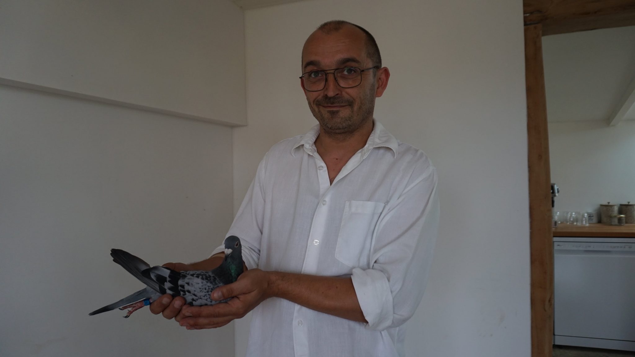 Accueil - Pigeon Master