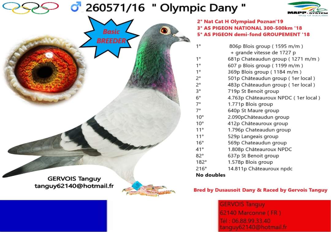 Tanguy Gervois, la clef de la réussite - Pigeon Master