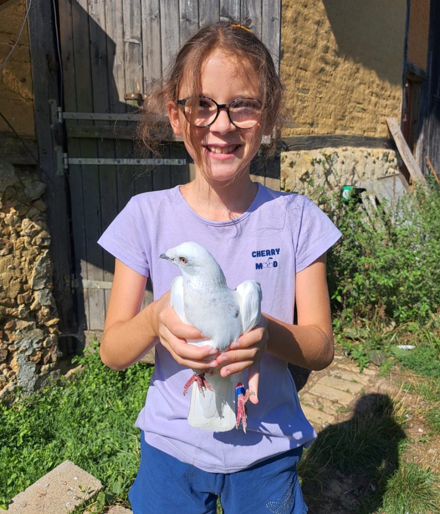 Accueil - Pigeon Master