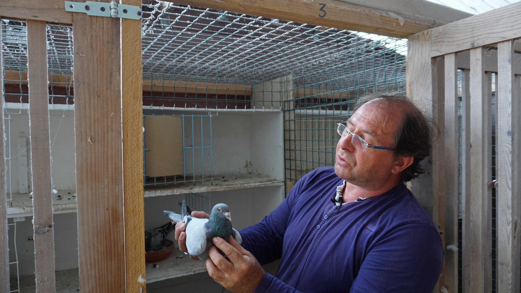 Accueil - Pigeon Master