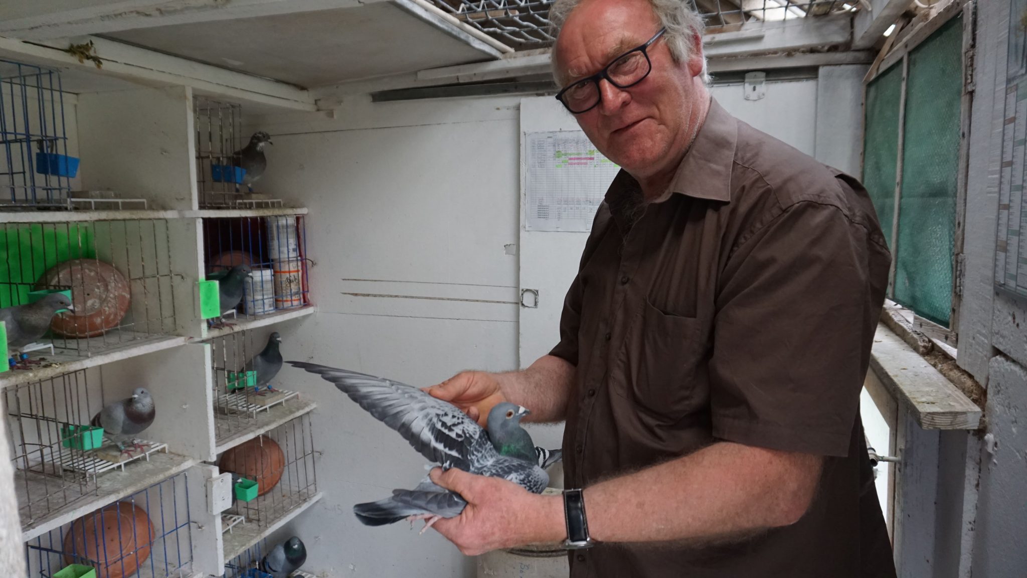 Accueil - Pigeon Master