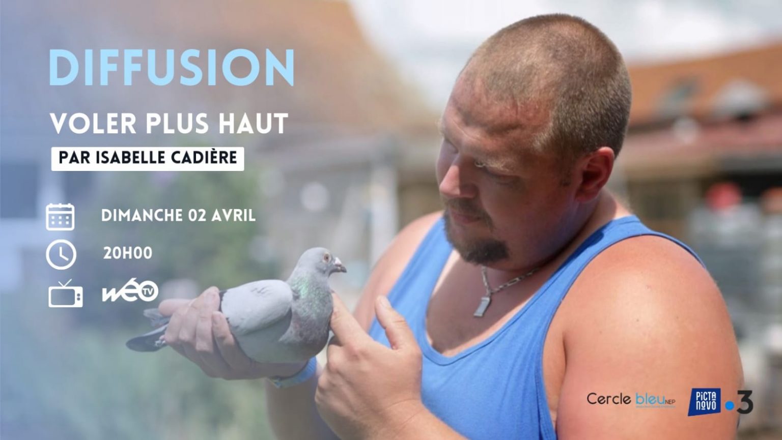 Accueil - Pigeon Master
