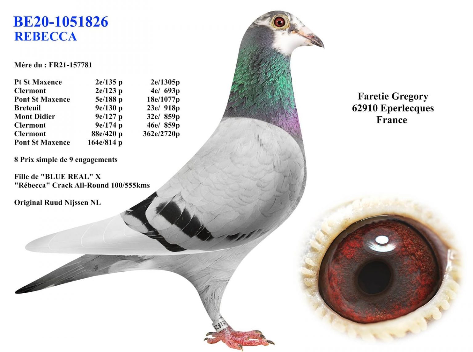 Vitesse, depuis trois semaines consécutives Grégory Farétie enchaine ...