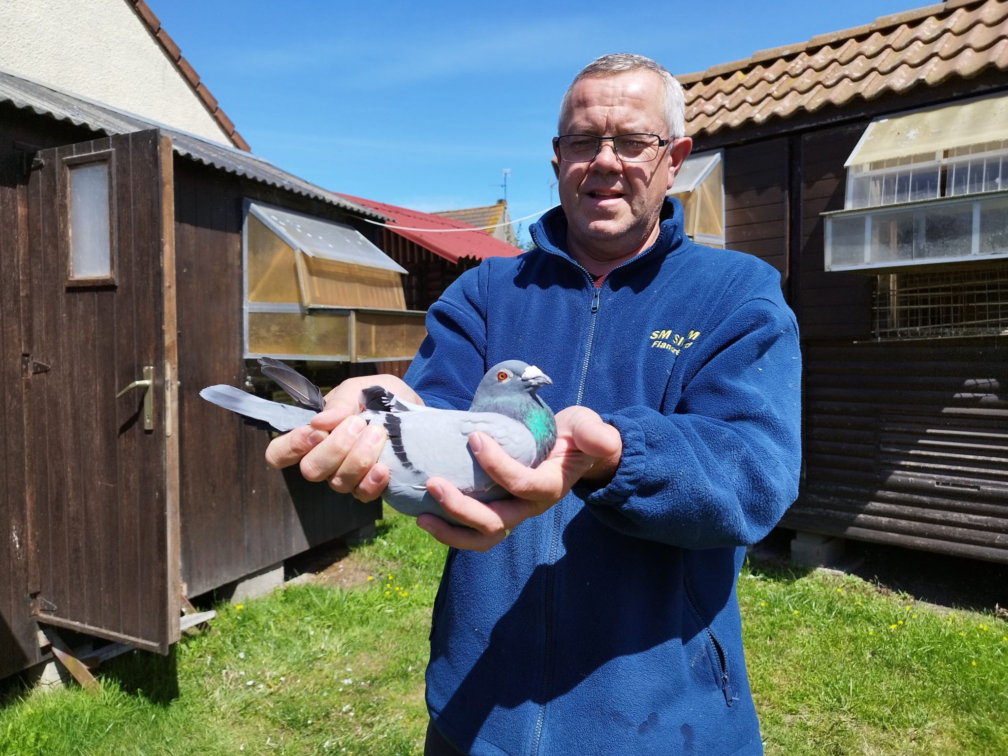 Grégory Farétie, champion de France de vitesse et 1° As-pigeon National ...