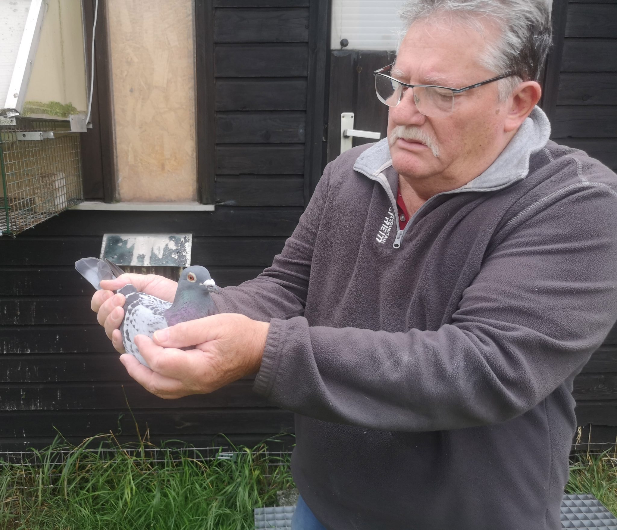 Accueil - Pigeon Master