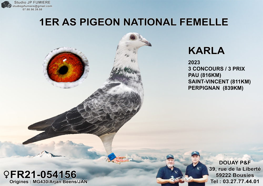 Accueil - Pigeon Master