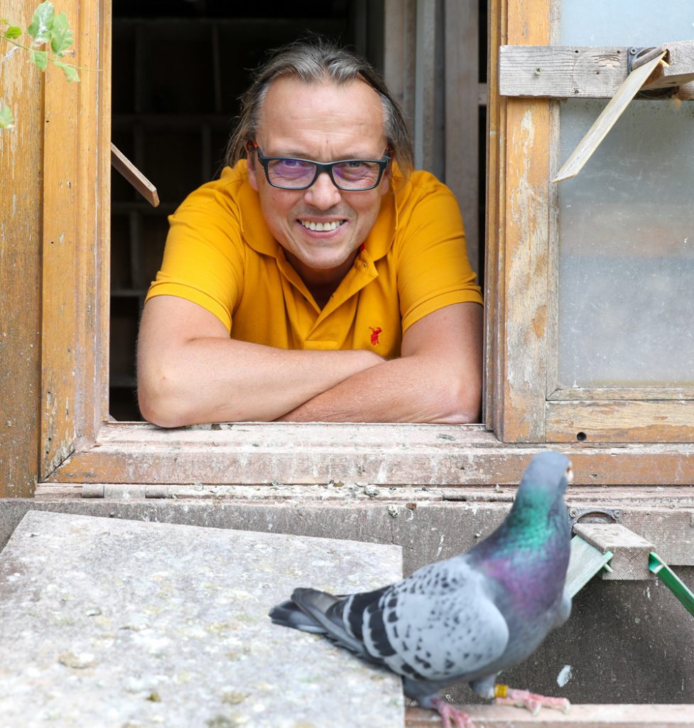 Tutoriels - Pigeon Master