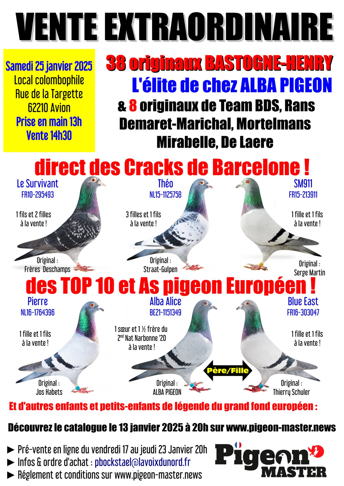 Accueil - Pigeon Master
