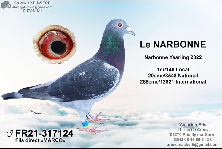 Reportages - Pigeon Master